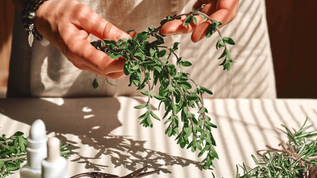 Événements autour des Tisanes : Dégustations et Ateliers DIY | ma-tisane.fr